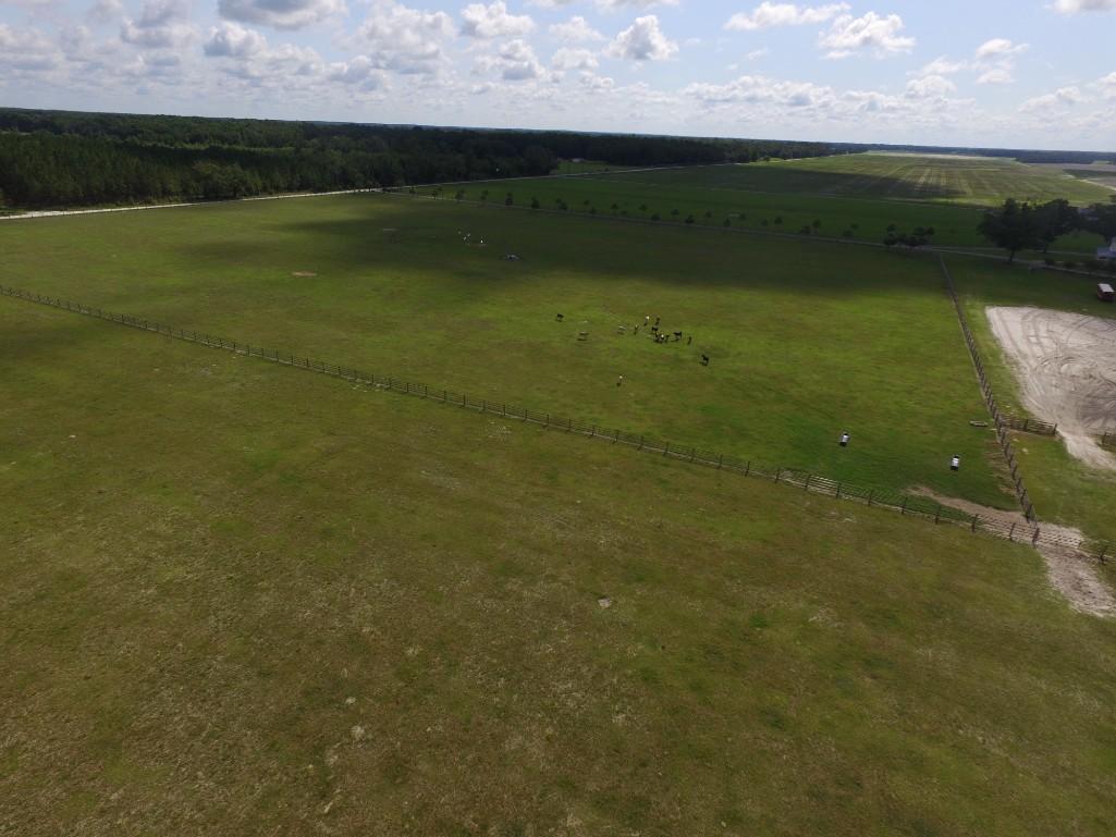 RT RANCH – 242+/- ACRES – SUWANNEE COUNTY, FLORIDA – Barfield Auctions