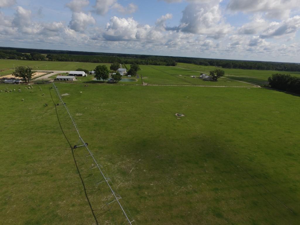 RT RANCH – 242+/- ACRES – SUWANNEE COUNTY, FLORIDA – Barfield Auctions