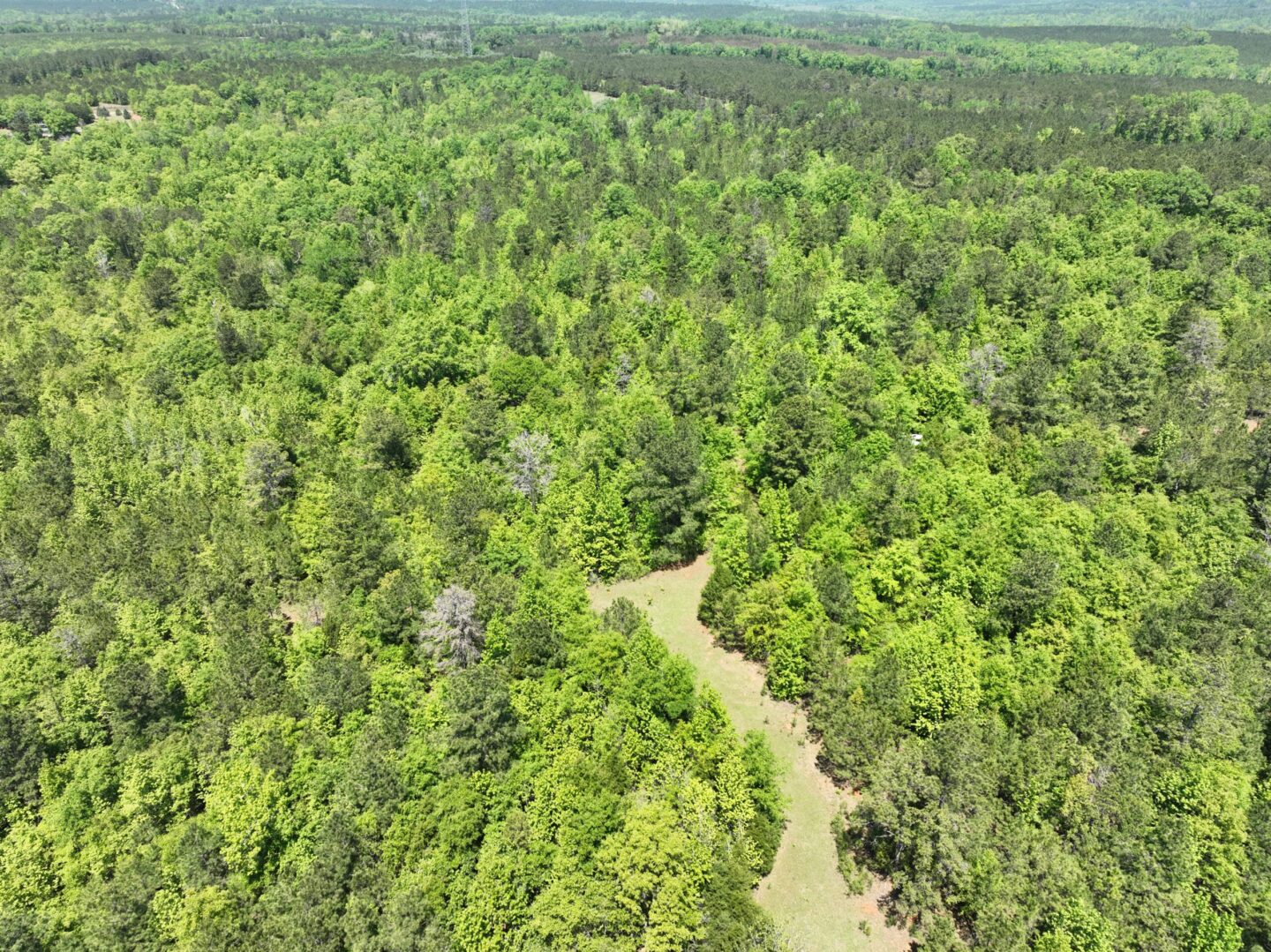 QUITMAN COUNTY, GA. COURT ORDERED AUCTION – Barfield Auctions