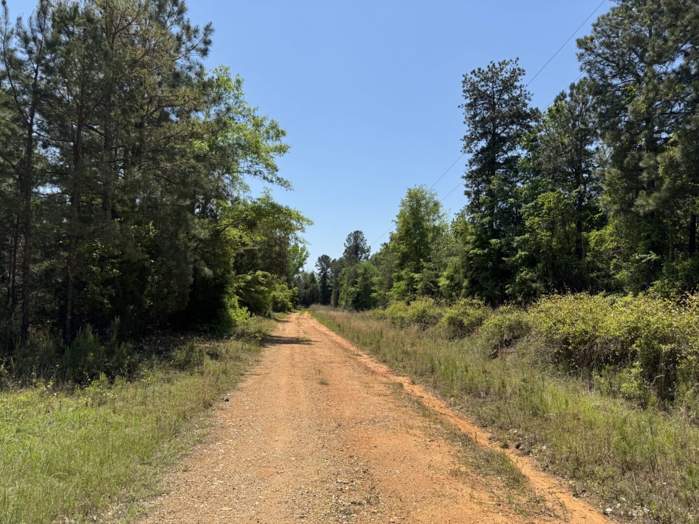 QUITMAN COUNTY, GA. COURT ORDERED AUCTION – Barfield Auctions